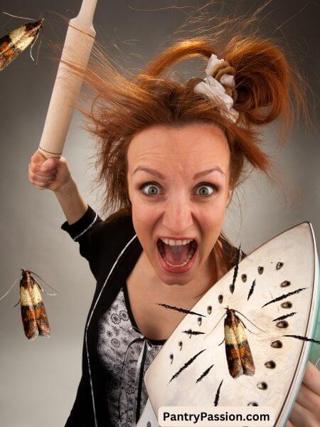 Battling a Pantry Moth Infestation - Pantry Passion