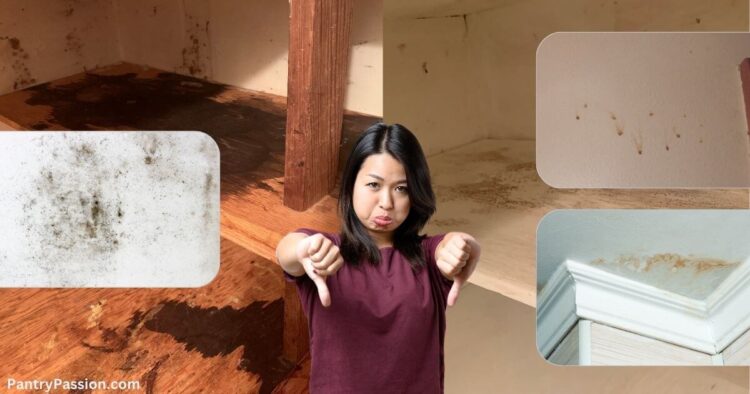 Battling Brown Spots On Ceilings and Walls - Pantry Passion