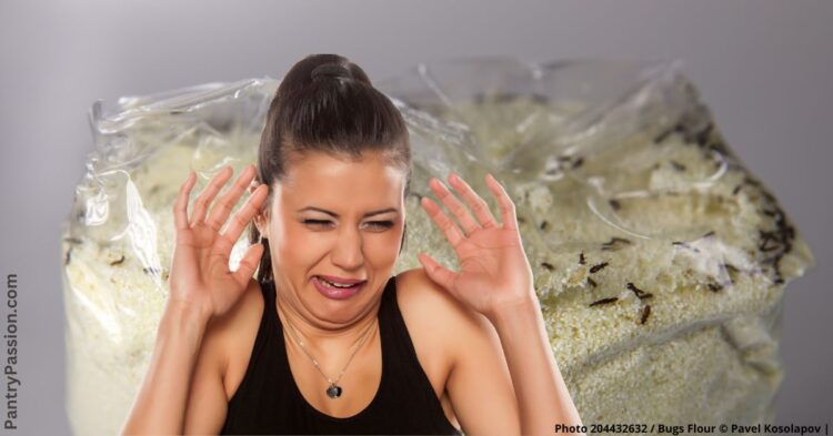 Dealing With Bugs in Flour - Pantry Passion