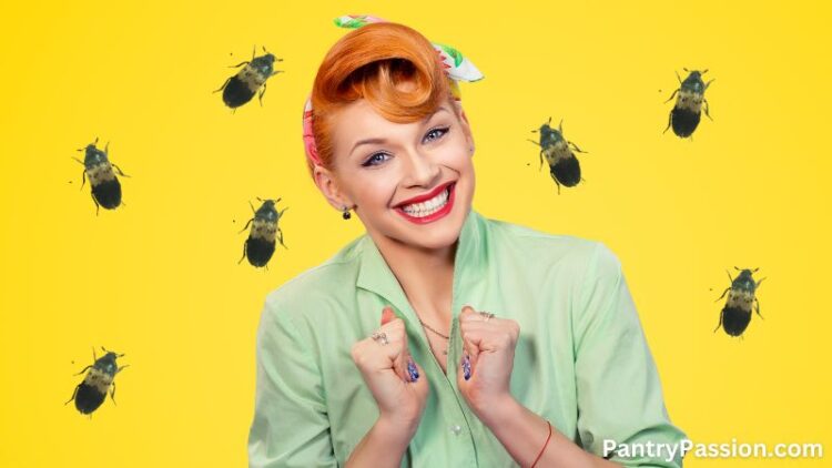 What Are Larder Beetles? Facts That’ll Surprise You