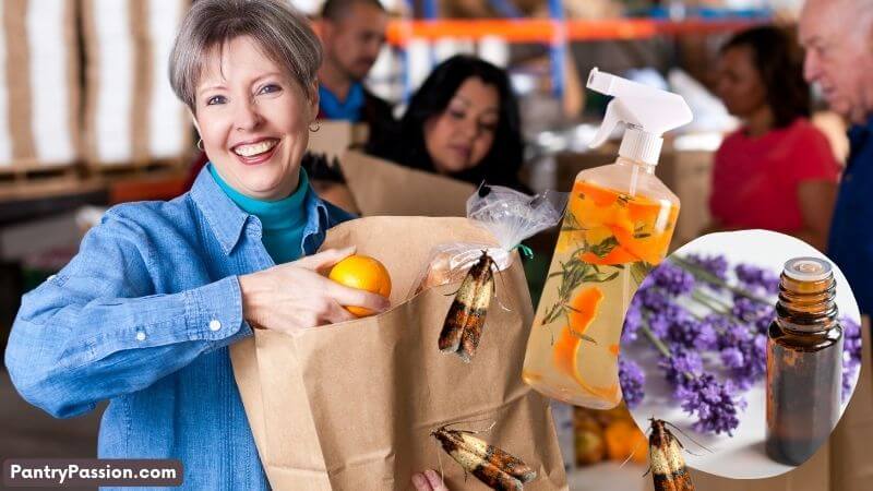 Battling a Pantry Moth Infestation - Pantry Passion