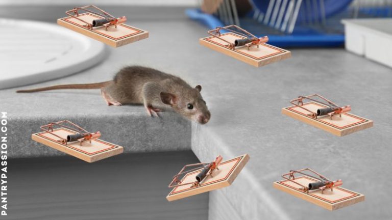 Mouse-Proof Your Pantry, Pet Food Storage & Kitchen Appliances: It's ...