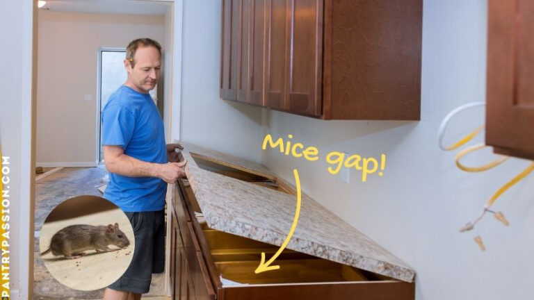 Mouse-Proof Your Pantry, Pet Food Storage & Kitchen Appliances: It's ...