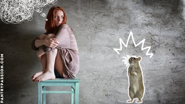 Fear of Mice: Turning Musophobia Into Positive Action - Pantry Passion