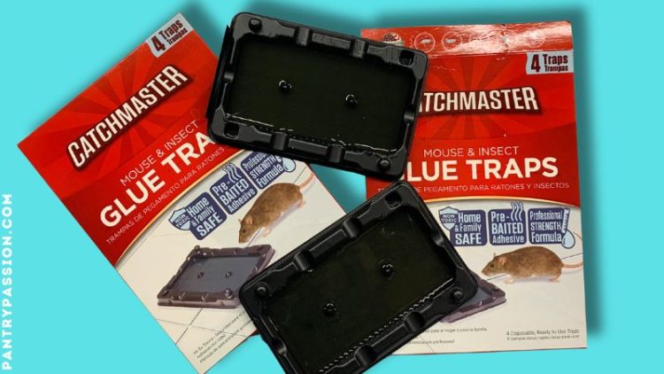 Glue Mouse Traps
