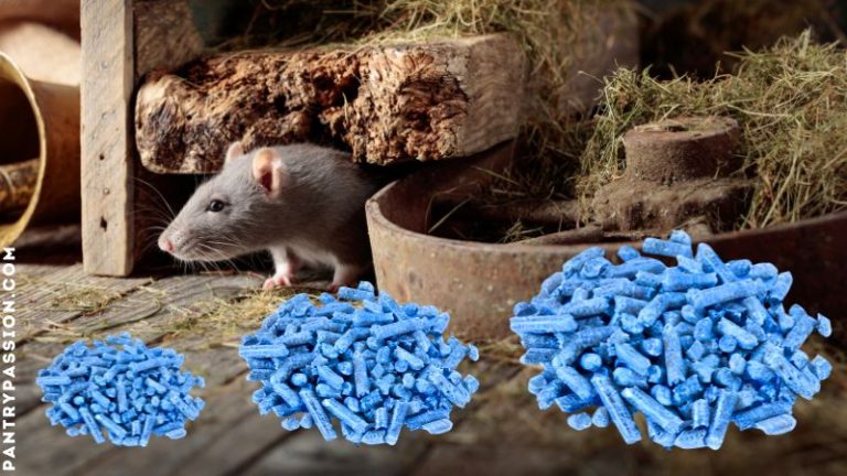 Rat Poison Talk From a Farmwife: My Best Strategy - Pantry Passion