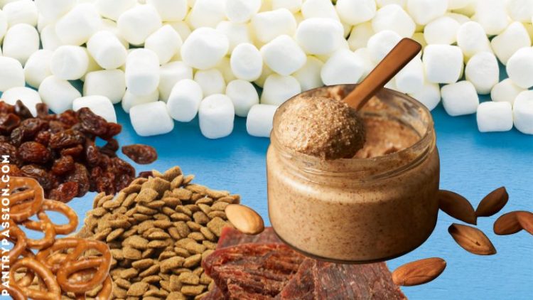 Good Bait For Mouse Traps: The Best Foods That Rats & Mice Love ...